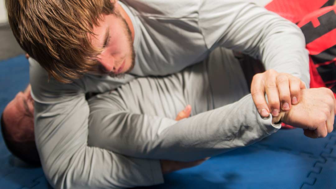 Wolverine Fight System